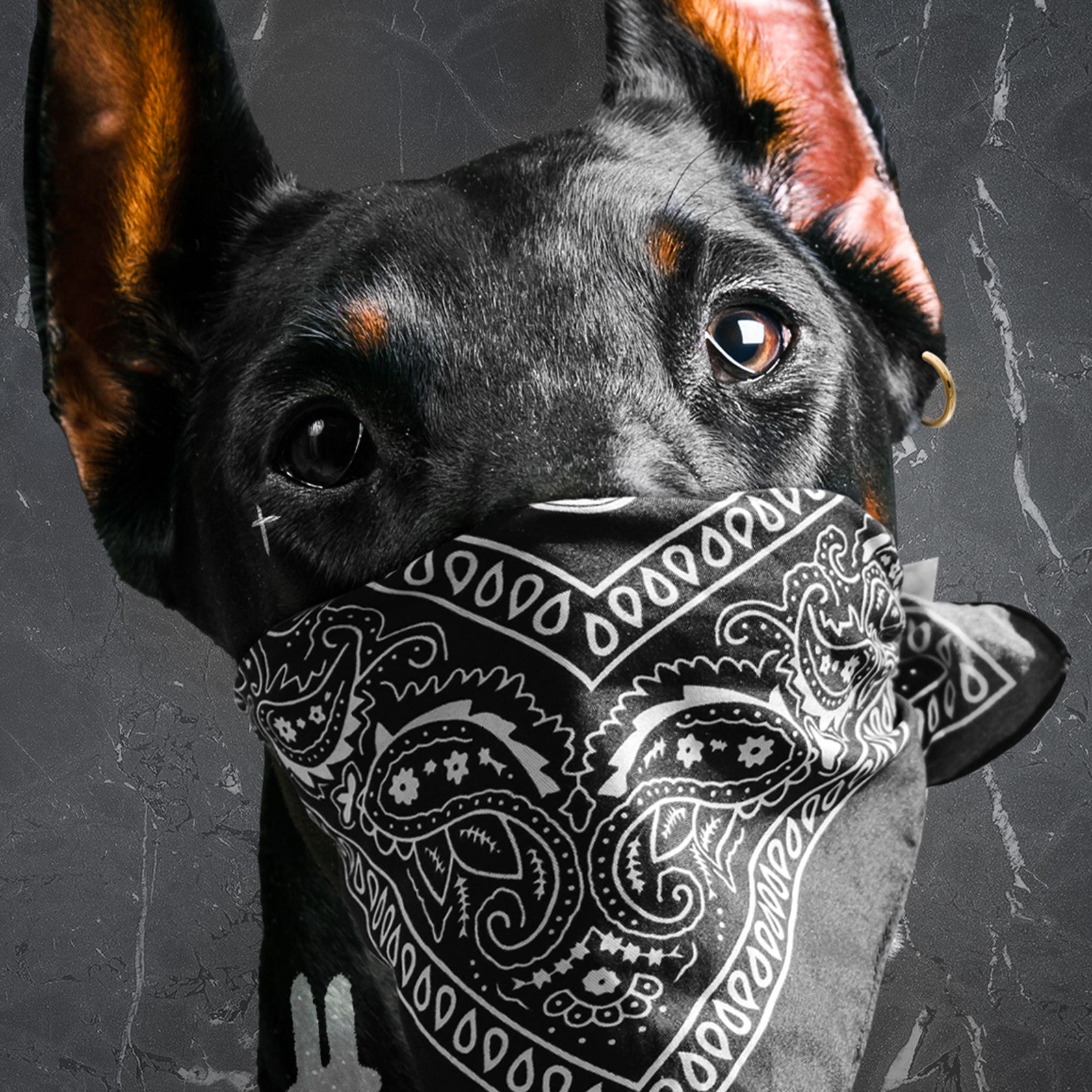 Bad Dog – Vinny Banks Art